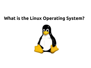 What is the Linux Operating System? A brief introduction